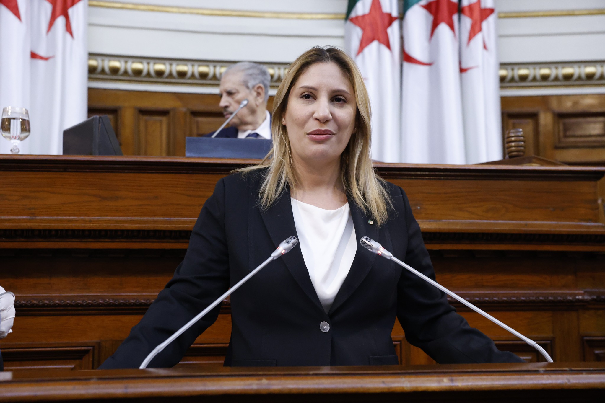 Conseil de la nation : Nadjiba Djilali présente la nouvelle loi sur la ...